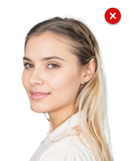 Passport photo online